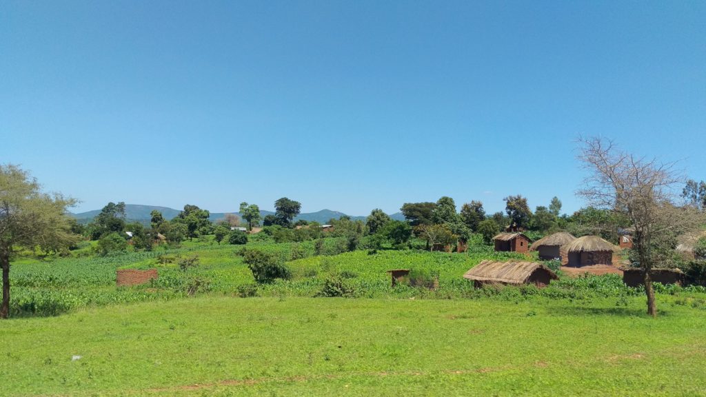 Malawi – Nkhoma - Reformed Missions Organization - Serge